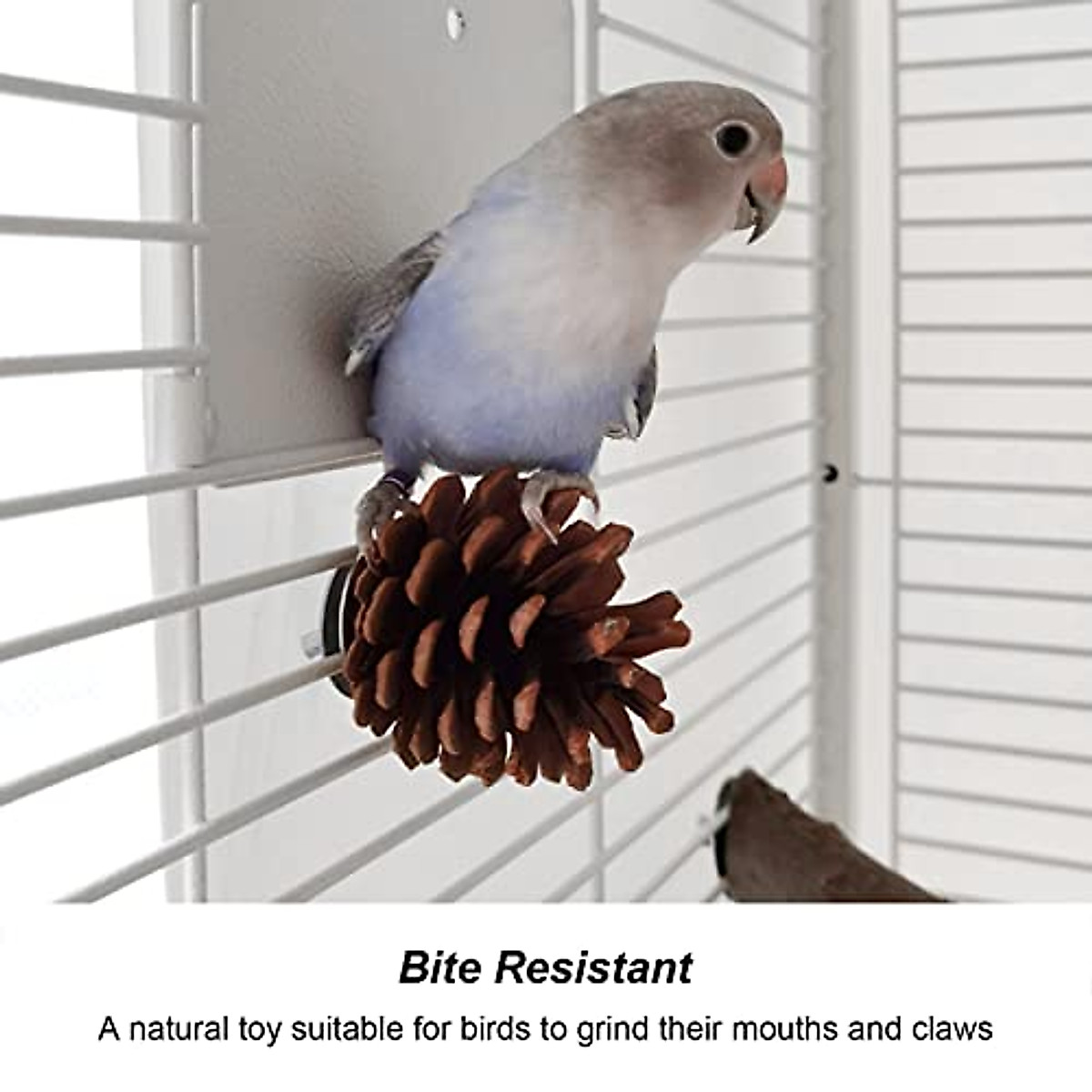 10Pcs Natural Pine Cones, Pinecone Decor, Bird Chewing Toys, Pet Bird Birdcages Hanging Tearing Toys with fixing nuts and washers for Parakeet Cockatiel Conure African Grey Lovebirds Budgies Cockatoos