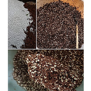 15 QT Professional Grade Horticultural Organic Perlite (15 QT, Perlite)