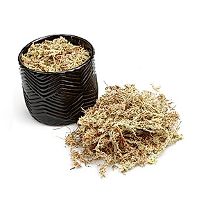 150 Grams Natural Sphagnum Moss Orchid Potting Mix, Organic Carnivorous Dried Peat Moss, Plant Supplies for Indoor Potting Soil, Perlite Blend, Reptile Bedding 3 Quart Sized Bag(Appx.5oz) by Giftape