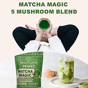 MEGAPLANTS Matcha Magic (50 Servings) | Superfood 5 Mushroom Powder Blend for Focus, Clarity & Energy | USDA Organic | Japanese Ceremonial Grade Matcha | Shade Grown
