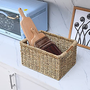 Teri Tale Seagrass Storage Baskets with Wooden Handles, Rectangular Wicker Baskets for Organizing - Decorative Wicker Storage Basket for Living Room (Large)