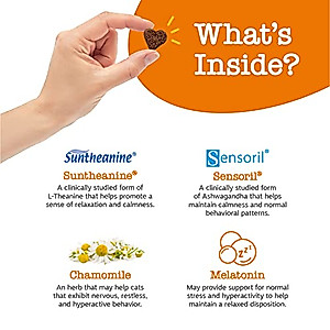 Zesty Paws Calming Chews for Cats - Composure & Relaxation for Everyday Stress & Separation - with Ashwagandha, Organic Chamomile, L-Theanine & L-Tryptophan – Bacon - 60 Count - Cat…