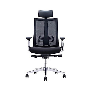 MXIAOXIA Office Chair, Breathable Mesh Computer Chair with Ergonomic Adjustable Lumbar Support Chair with Adjustable Armrest and Headrest, Soft Cushion Seat (Color : D)