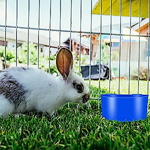 Worldity 30Pcs Chicken Feeder Cups Cage, Plastic Bird Cups, Hanging Pigeon Food Bird Feeders for Cage, Durable Cage Feeders with Hook, Perfect for Parrot Parakeet Rabbit Pet Poultry Feeding, Large