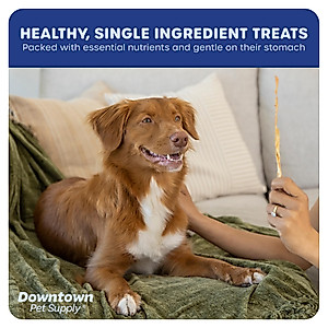 Downtown Pet Supply 12" Turkey Tendons for Dogs Made in USA, 10 Pack - Rawhide Free Dog Chews Long Lasting and Non-Splintering - Single Ingredient, Nutrient-Rich Tendon Chews for Dogs