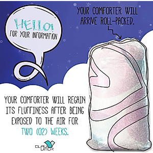 CLAUVINCK Truly Reversible & Ultra Soft Microfiber 2-Piece Room-in-a-Bag Toddler and Kids' Comforter Bedding Set for Girls, Nesting Dolls - Twin XL