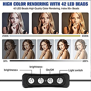 FDKOBE Webcam Lighting,Ring Light for Laptop/Computer,Zoom Call Lighting,4''Small Video Conference Lighting with Webcam Style Mount and Tripod,3 Light Modes&10 Brightness Levels,Selfie 3000k
