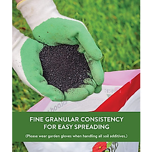 Burpee Organic Blood Meal Fertilizer | Add to Potting Soil | Excellent Natural Source of Nitrogen | for Tomatoes, Spinach, Broccoli, Leafy Greens | 3 lb, 1-Pack