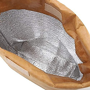 TOPINCN Lunch Bag Waterproof Insulated Lunch Box Storage Kraft Paper for Women Men Outdoor Picnic(Brown)