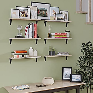 Wallniture Arras Floating Shelves for Living Room Decor, 17" Wall Bookshelf, Plant Shelf, Kitchen Organization and Storage Shelves for Bedroom Decor, Natural, Set of 6