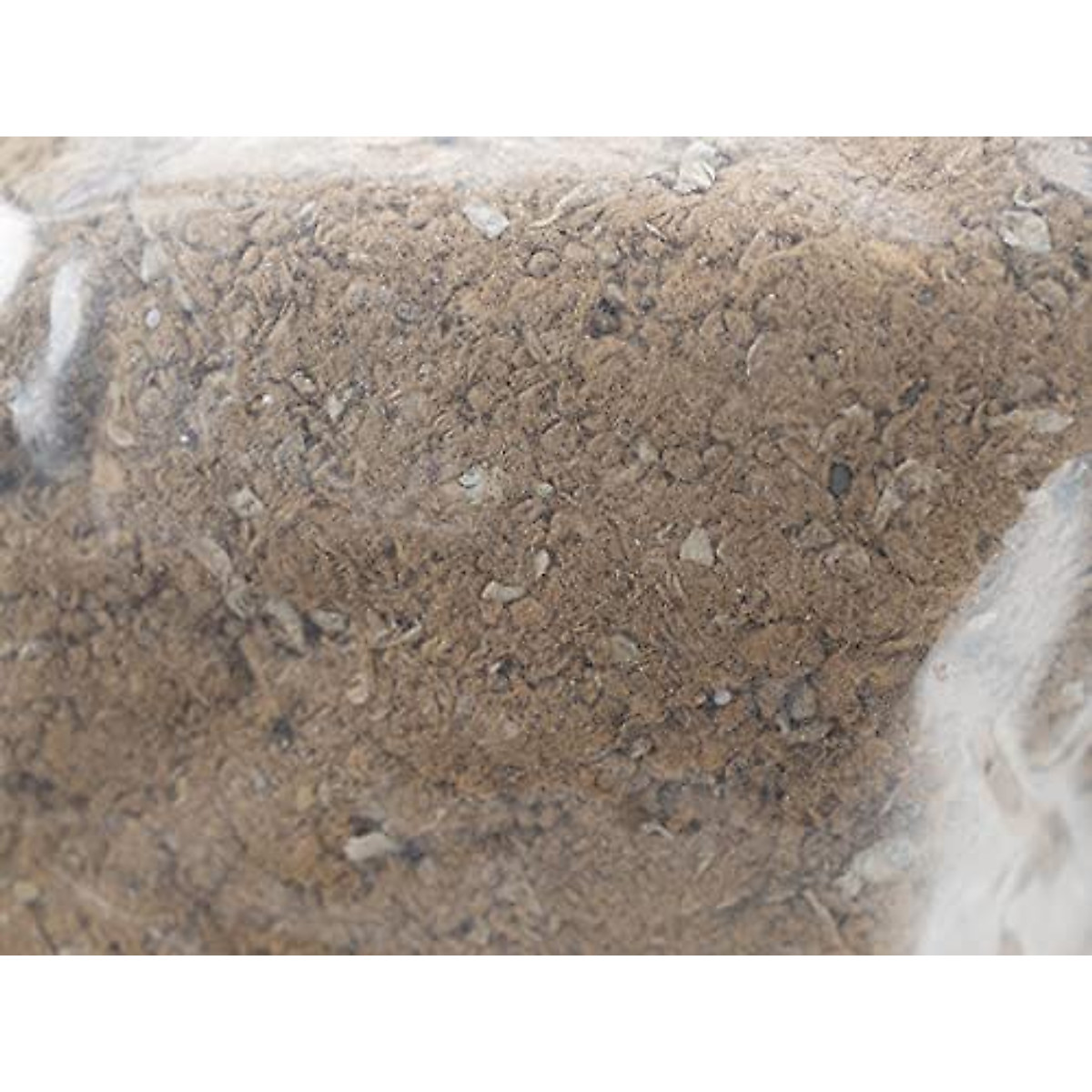 Josh's Frogs Earthworm Bedding (10 Quarts)