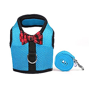 Rypet Guinea Pig Harness and Leash - Soft Mesh Small Animal Harness with Safe Bell, No Pull Comfort Padded Vest for Guinea Pigs, Ferret, Chinchilla and Similar Small Animals
