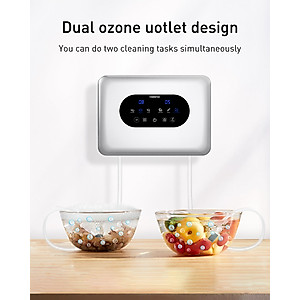 Portable Ozone Machine Generation for Water and Air, with Dual Outlets, Negative Ion and Timer，Silver