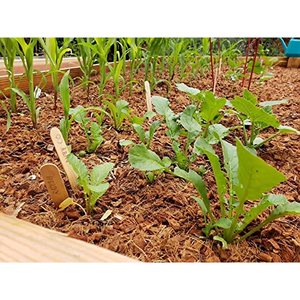 Compressed Coconut Husk Chips 9lbs - Expandable Substrate Block, Coco Coir Fiber Mulch, Reptile Bedding, Potting Soil Mix for Indoor & Outdoor Applications.