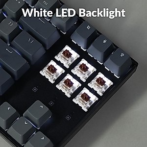 Keychron K8 Tenkeyless Wireless Mechanical Keyboard for Mac, White Backlight, Bluetooth, Multitasking, Type-C Wired Gaming Keyboard for Windows with Gateron G Pro Brown Switch