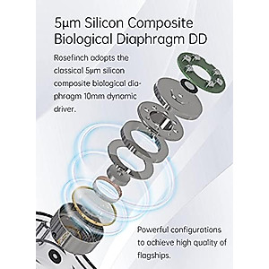 KBEAR Rosefinch Wired Headphone,5μm Silicon Composite Biological Diaphragm DD Stereo Earphone,KINBOOFI Musician HiFi IEM in Ear Headphones with 2 pin Cable for Musician Church (Black, No Microphone)…