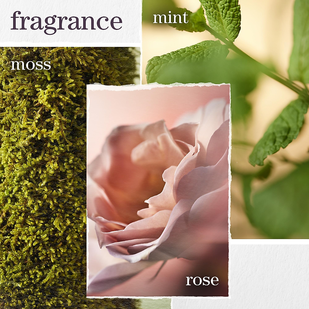 Pureology Hydrate Moisturizing Conditioner | For Medium to Thick Dry, Color Treated Hair | Sulfate-Free | Vegan