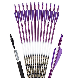 FENJANER Archery 30 inch Carbon Arrows Fluorescence Color Targeting and Practice and Hunting Arrows with Detachable Tip for Recurve Bow and Compound Bow(Pack of 12) (Purple)