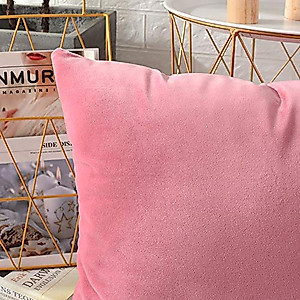 MERNETTE Pack of 2, Velvet Soft Decorative Square Throw Pillow Cover Cushion Covers Pillow case, Home Decor Decorations for Sofa Couch Bed Chair 22x22 Inch/55x55 cm (Pink)