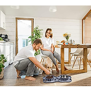 Dogvingpk Spill Proof Dog Food and Water Bowls Set with Suction Cup and Silicon Mat - Non Tipping Dog Dishes for Small and Medium Sized Dogs