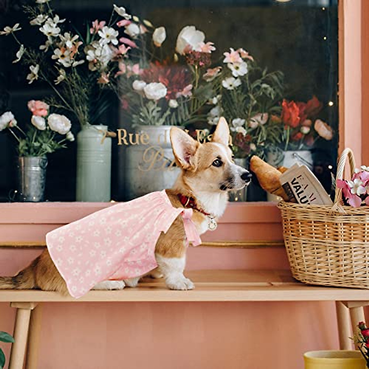 IECOii 3 Pack Dog Shirts, Sleeveless Dog Vest, Floral Dog Tank Top, Soft Breathable Spring Summer Shirts for Dogs, Dog T Shirt, Puppy Shirts, Dog Suspenders, Dog Clothes for Cats Puppies Small Dogs