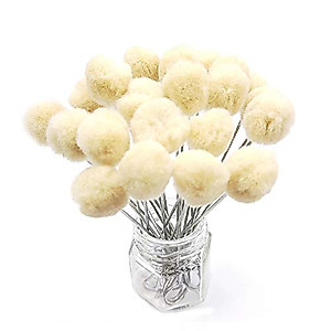 25 Pieces Wool Daubers Ball Brush Leather Dye Tool with Metal Handle Applicator for DIY Crafts Projects