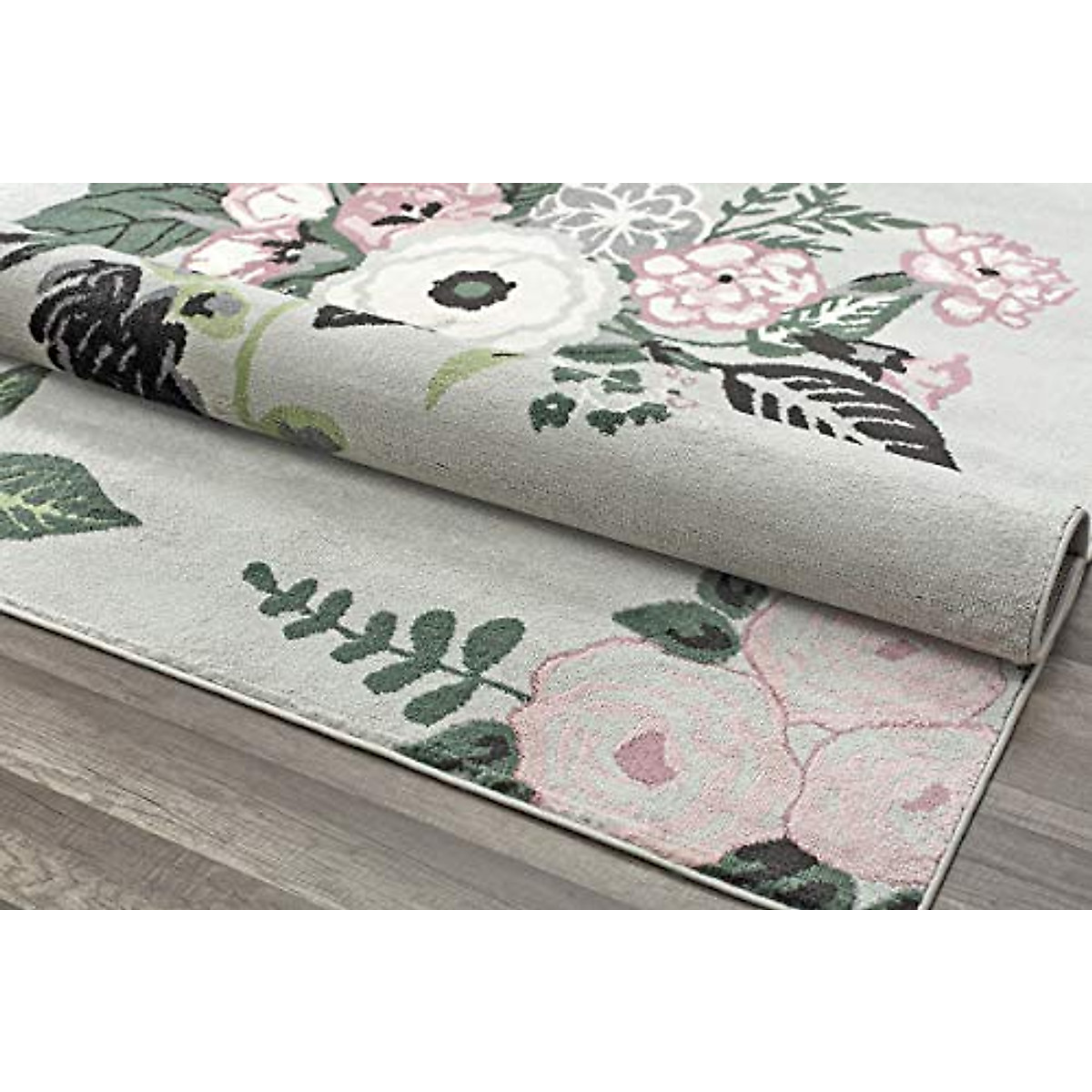 Rugs America Hanna VA40C Rose Garden Gray Floral Transitional Area Rug, 5'x7'