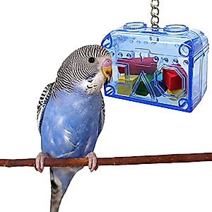 Sweet Feet and Beak Large or Small Treasure Chest - Perfect Bird Cage Toy Colorful, Safe, Easy to Install - Washable, Refillable, Non-Toxic, Foraging Box - Cage Accessories
