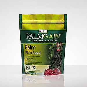 BGI Fertilizers Palmgain Bag, Palm Tree Fertilizer, Ferns, Cycads, Ixora, 2 lb