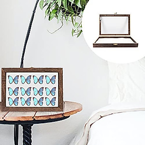 Cabilock Insect Display Case Wooden Bug Collection Box with Clear EVA Top Insect Shadow Box Insect Specimen Storage Box for Home