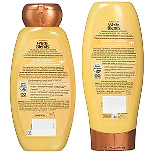 Garnier Whole Blends Honey Treasures Shampoo and Conditioner 12.5 Ounces each