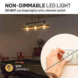 HUDSON BULB CO. Vintage Edison LED Light Bulbs 6W (6 Pack), Soft White, Non-Dimmable, E26/E27 Base, ST58 Style, 60 Watt Equivalent