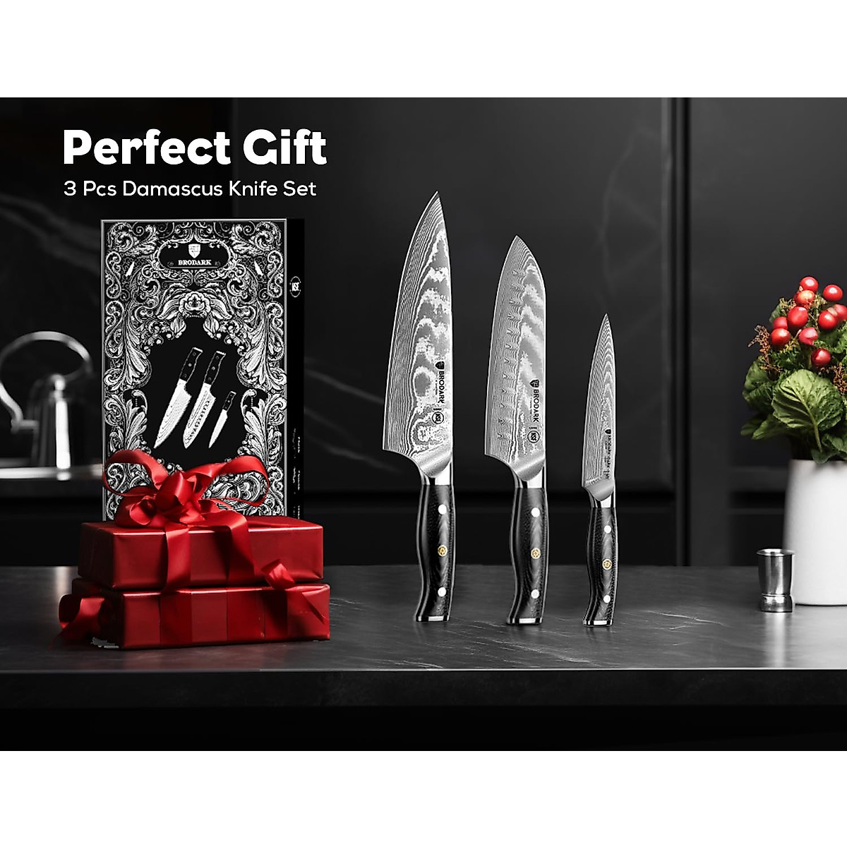 Damascus Knife Set 3 PCS with Premium VG10 Damascus Steel, Ultra-Sharp Professional Japanese Kitchen Knife Set, Full Tang Chef Knife Set with G10 Hand