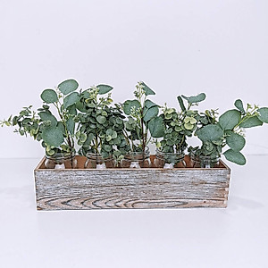 Mixed Eucalyptus Leaves Stems Bulk Artificial Silver Dollar Eucalyptus Leaves Picks and Faux Eucalyptus Leaves Branches for Vase Bouquets Floral Arrangement Wreath Rustic Farmhouse Greenery Decoration