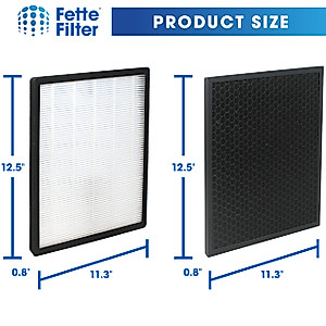 Fette Filter -HSP001 Filter Replacements for HATHASPACE Air Purifier HSP001, True HEPA Filter with Activated Carbon Pre-Filters. Includes 2 H13 True Hepa FIlters and 2 Activated Carbon Filters.