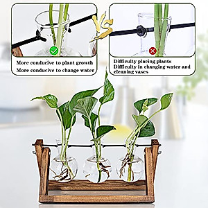 RENMXJ Plant Propagation Station, Gifts for Women, Home Office Garden Decor Planter(3 Bulb Vase)