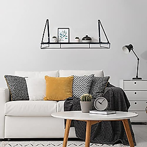 FLRH Kitchen Wall Mounted Pot Rack, 23.6 Inch Metal Kitchen Storage Shelf, 2 Tier Hanging Rails with 10 Hooks Floating Shelves (Black)