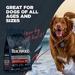 Blackwood Complete & Balanced Diet Dry Dog Food, Chicken Meal & Brown Rice with Ancient Grains, 10 Pound Bag, Slow Cooked with Vitamins & Minerals