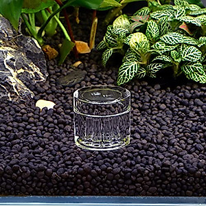 WEAVERBIRD Planaria Trap Catch Trap Leeches Catcher, Clear Glass Leech Trap Tube Catcher 2, 8 Holes for Cherry Shrimp Crystal Red Shrimp Dwarf Shrimp for Aquarium Fish Tank