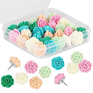 Push Pins for Cork Board - Cuttte 30pcs Decorative Push Pins with Case, Cute Thumb Tacks and Push Pins for Bulletin Board, 6 Colors Flower Pushpins, Office Decor for Women, Cubicle Desk Accessories