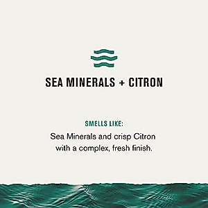 Every Man Jack Men’s Hydrating Body Wash for All Skin Types - Cleanse and Hydrate Skin with Naturally Derived Marine Extracts, Coconut Oil, and a Sea Minerals + Citron Scent - 33.8 fl. oz. - 2 Bottle