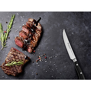 Wüsthof Classic IKON 4.5" Steak Knife,Black