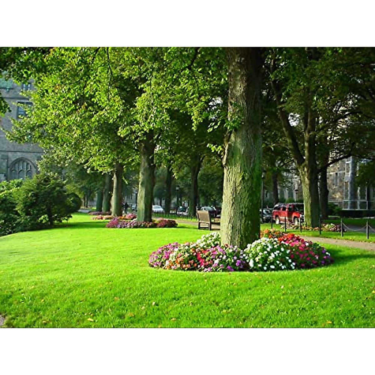 Solo 456 2.25 Gallon Professional Handheld Sprayer with Carrying Strap