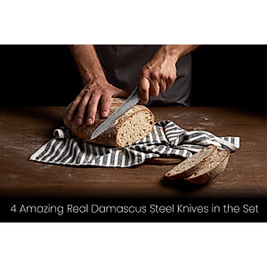 UrbanXElites Damascus Knife Chef Knife set - 4 Real Damascus Professional knife sets for chefs with Japanese knife VG10 Steel, Professional damascus knife set | Full Tang G10 Handle | Gift Box