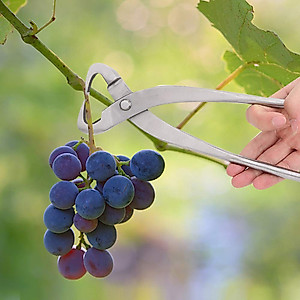 Omabeta 27cm Stainless Steel Trunk Splitter Bonsai Tools Professional Garden Branch Cutter Beginner Bonsai Tools Trunk Splitter Scissors Garden Pruning Equipment