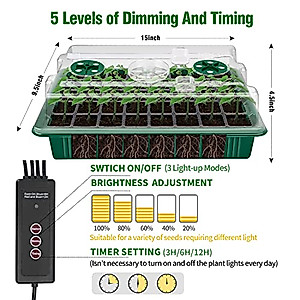 Kirababy Seed Starter Tray with Grow Light, 2 Packs Seed Tray Kits with 80-Cell/Seedling Tray with Humidity Dome/Indoor Grow Kit for Deep-Rooted Seedlings