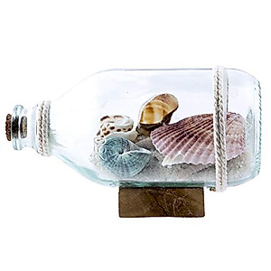 Beachcombers Shells and Sand in Bottle Multi