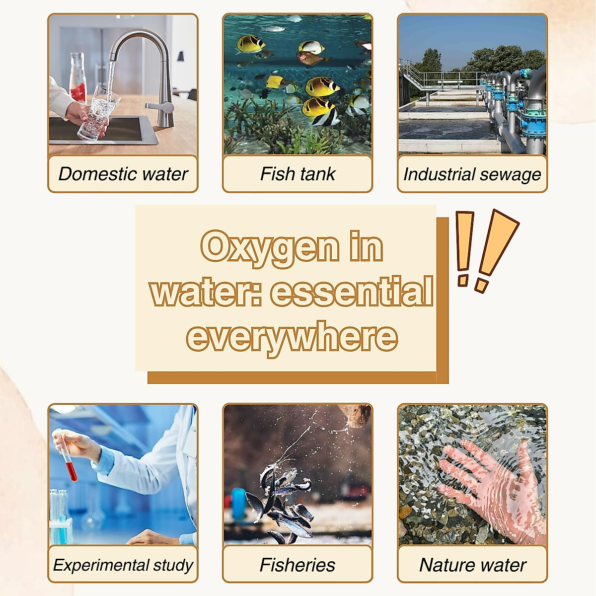 Dissolved Oxygen Test Kit - Accurate Water Testing for Freshwater, Saltwater Aquariums, Ponds, Sewage, etc. - All-in-One Solution, Quick and Easy Results
