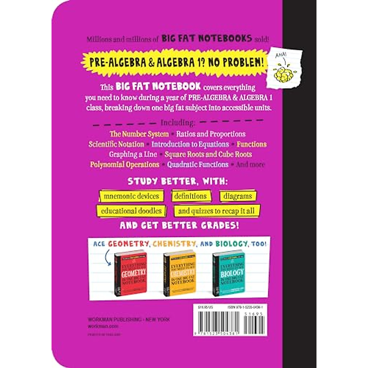 Everything You Need to Ace Pre-Algebra and Algebra I in One Big Fat Notebook (Big Fat Notebooks)