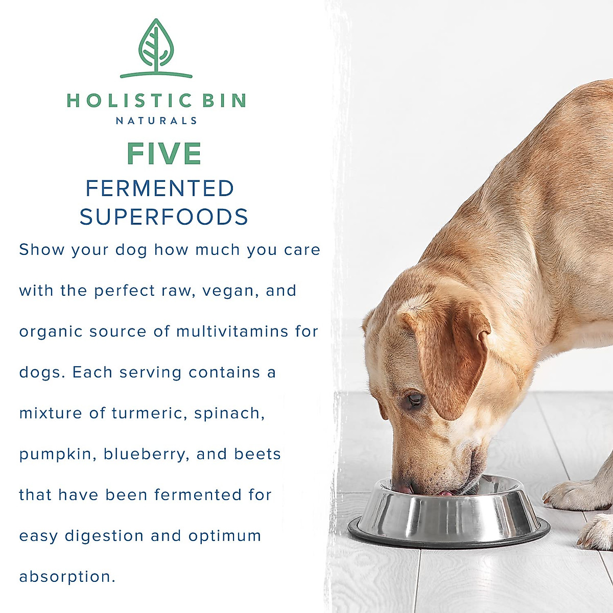 Canine Fermented Farm Superfood Dog Supplement | Vitamin & Mineral Rich Blend Packed with Dog Digestive Enzymes and Probiotics | Fermented Spinach, Pumpkin, Blueberry, Beets, & Turmeric for Dogs